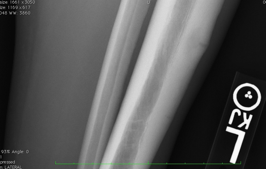 April Steiner Bennett - Magnacares USA